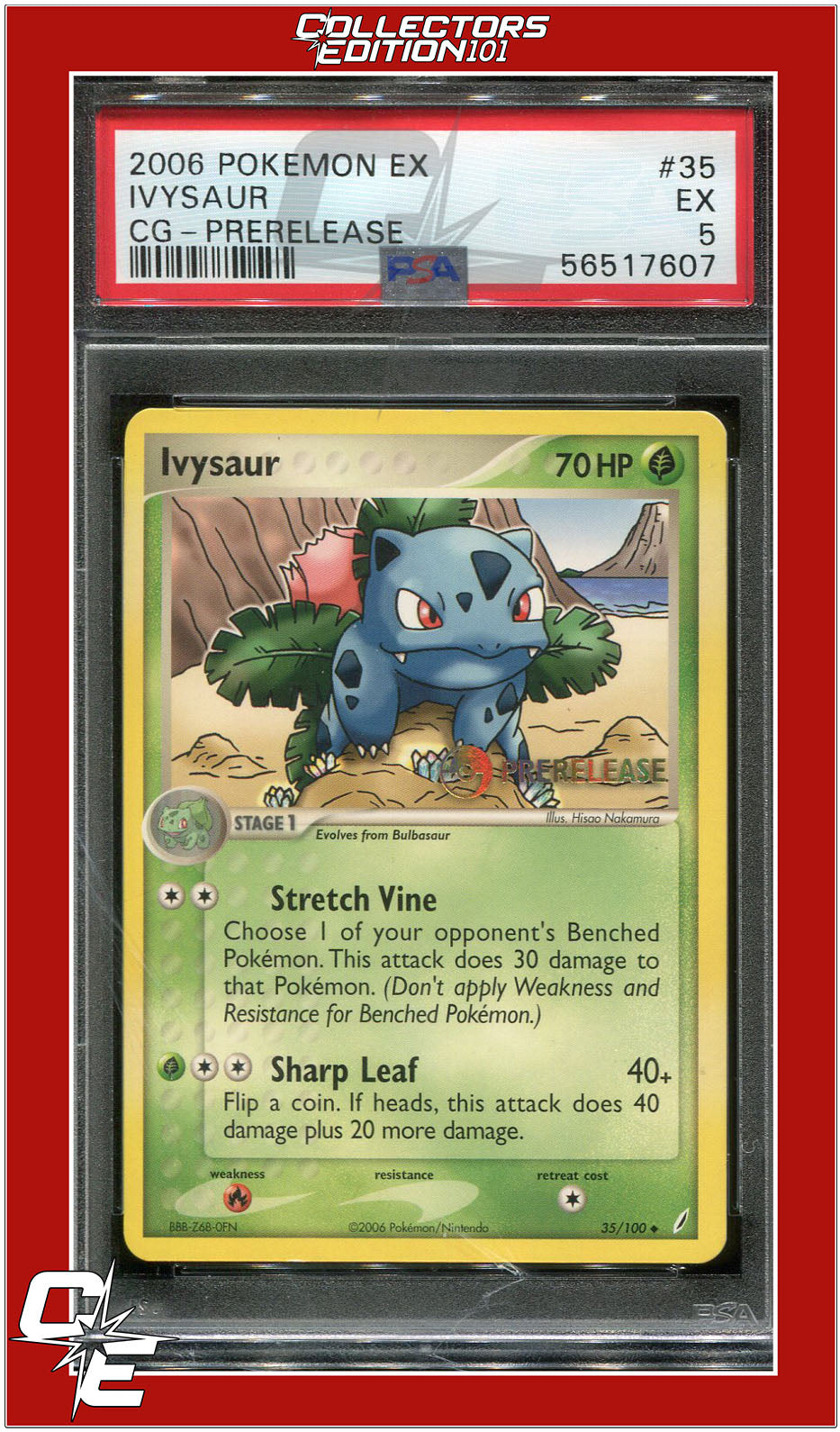 Ivysaur Pokemon Card